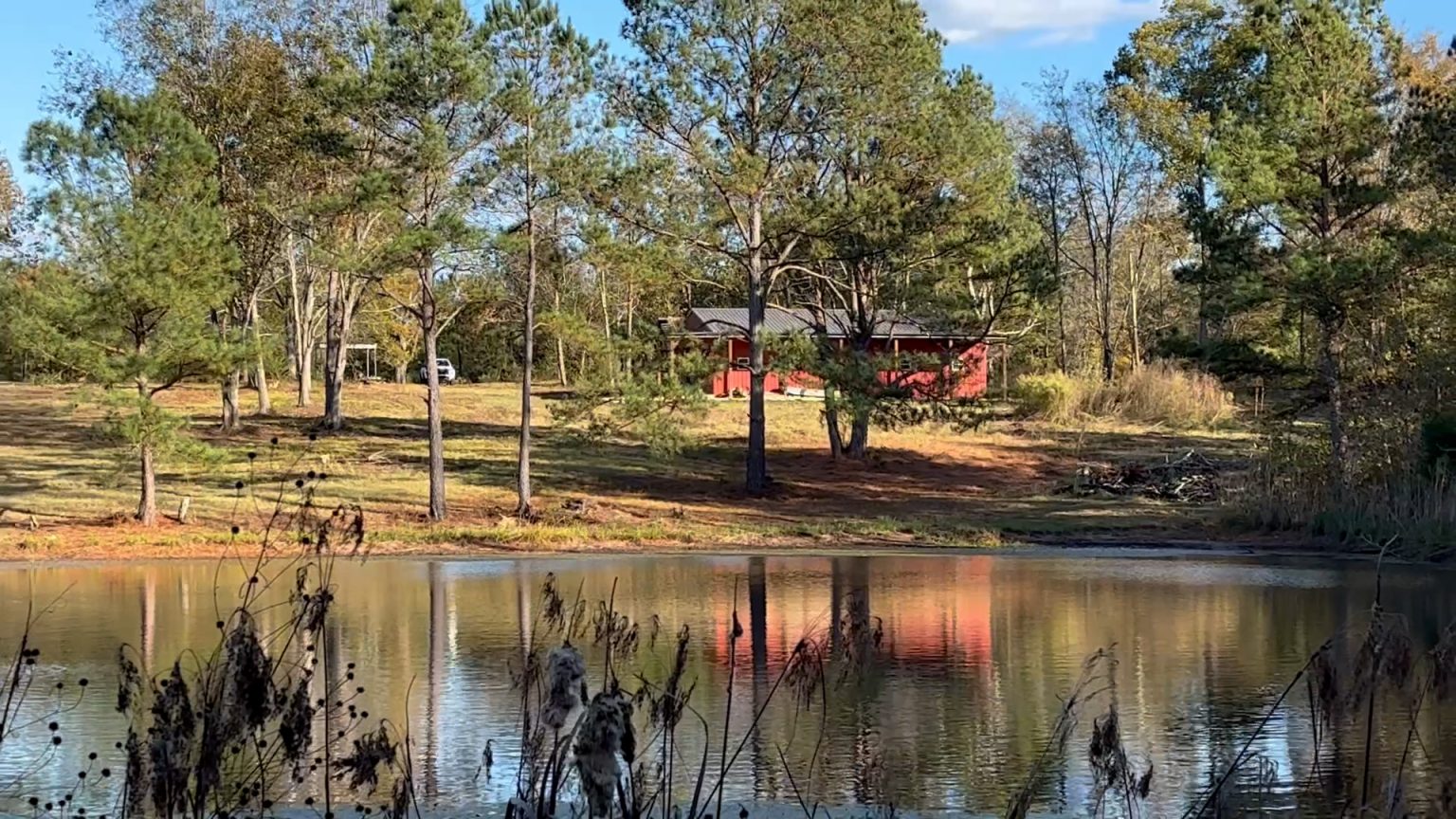 Pond - Barn - Homestead 24+/- Acres Alabama Land For Sale
